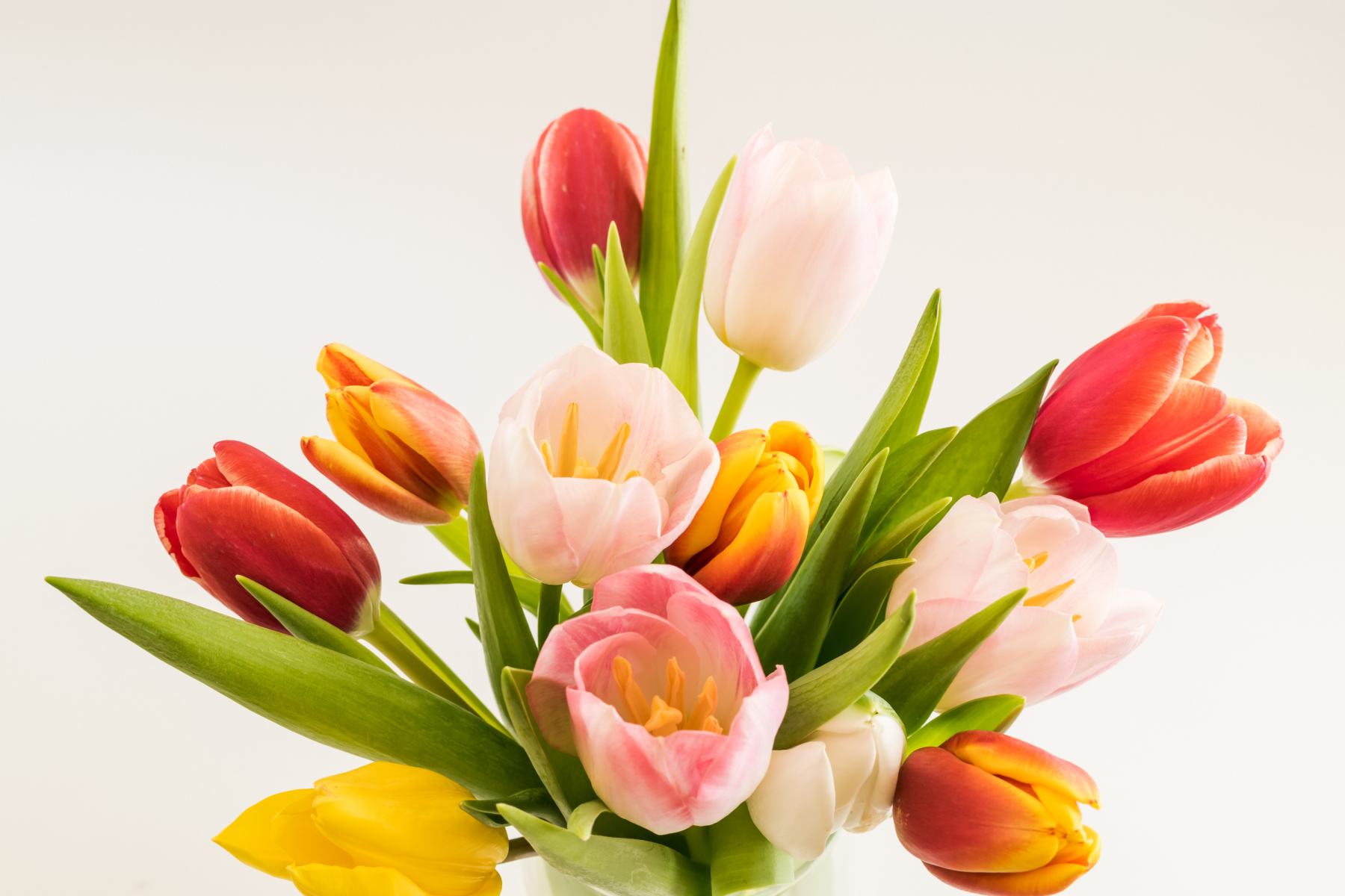 Royal York Flowers | Etobicoke, ON | Florist | Garden Centre